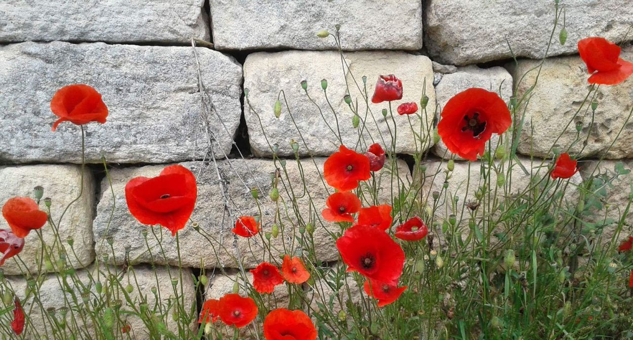 Why Wallflowers Fail at Love and Business - Story Power Marketing