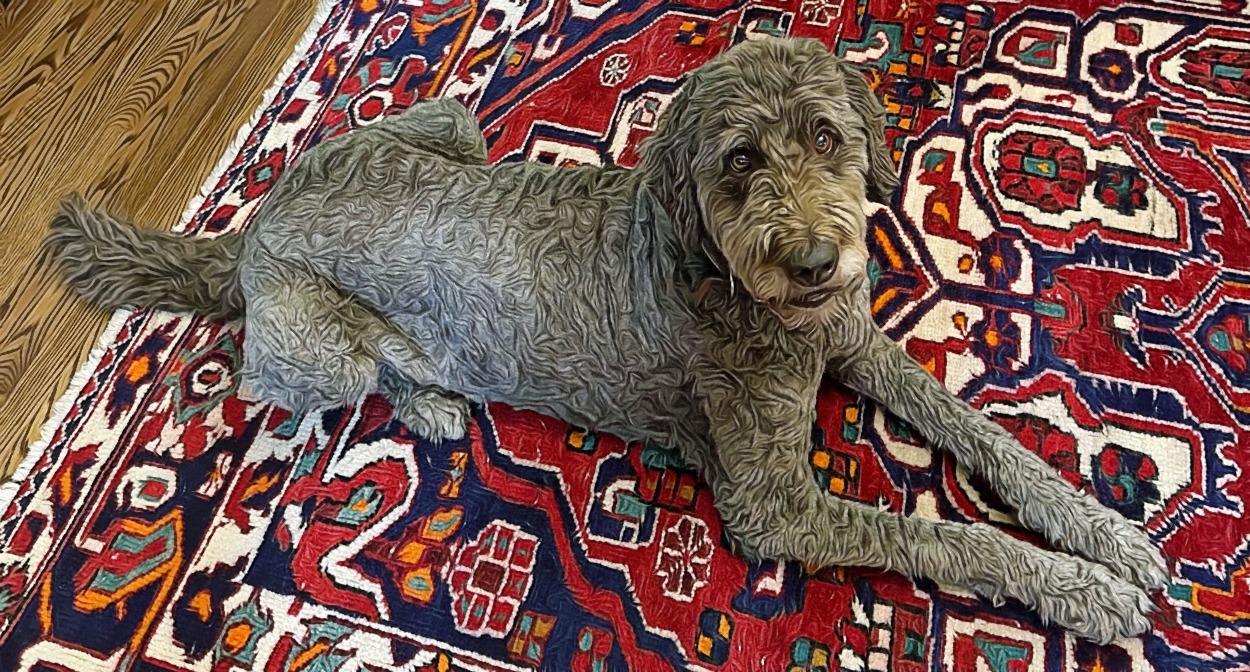 Does my Crazy-doodle Regret This...? - Story Power Marketing